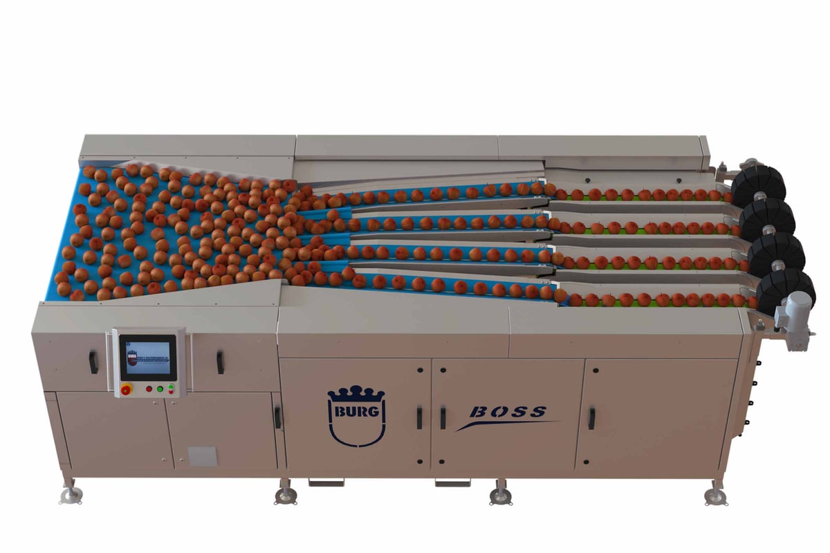 Burg - Supply Optimiser | Wyma Solutions