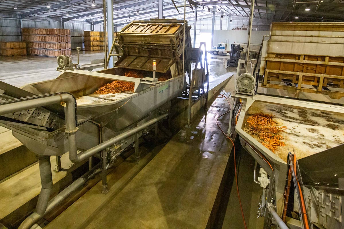 Wet Hopper | Cost-Effective Pre-Washing System for Produce | Wyma
